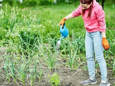 Allowance for Kids (What is an Appropriate Allowance By Age?)