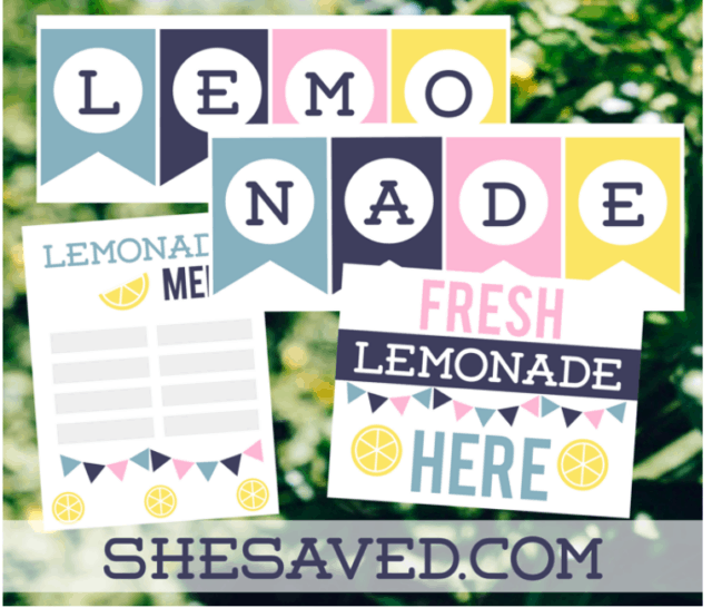 10 Lemonade Stand Worksheets (Math, Business Plan, Budgeting, etc.)