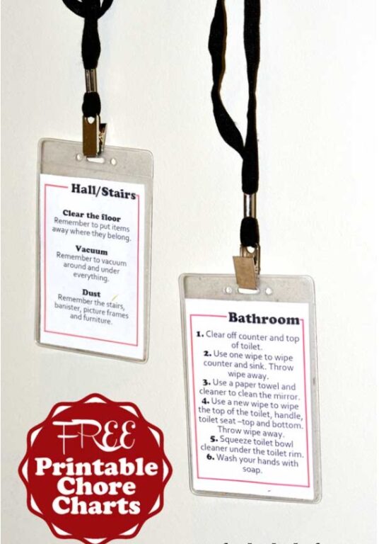 14 Sets of Free Printable Chore Cards (Kids & Teens)